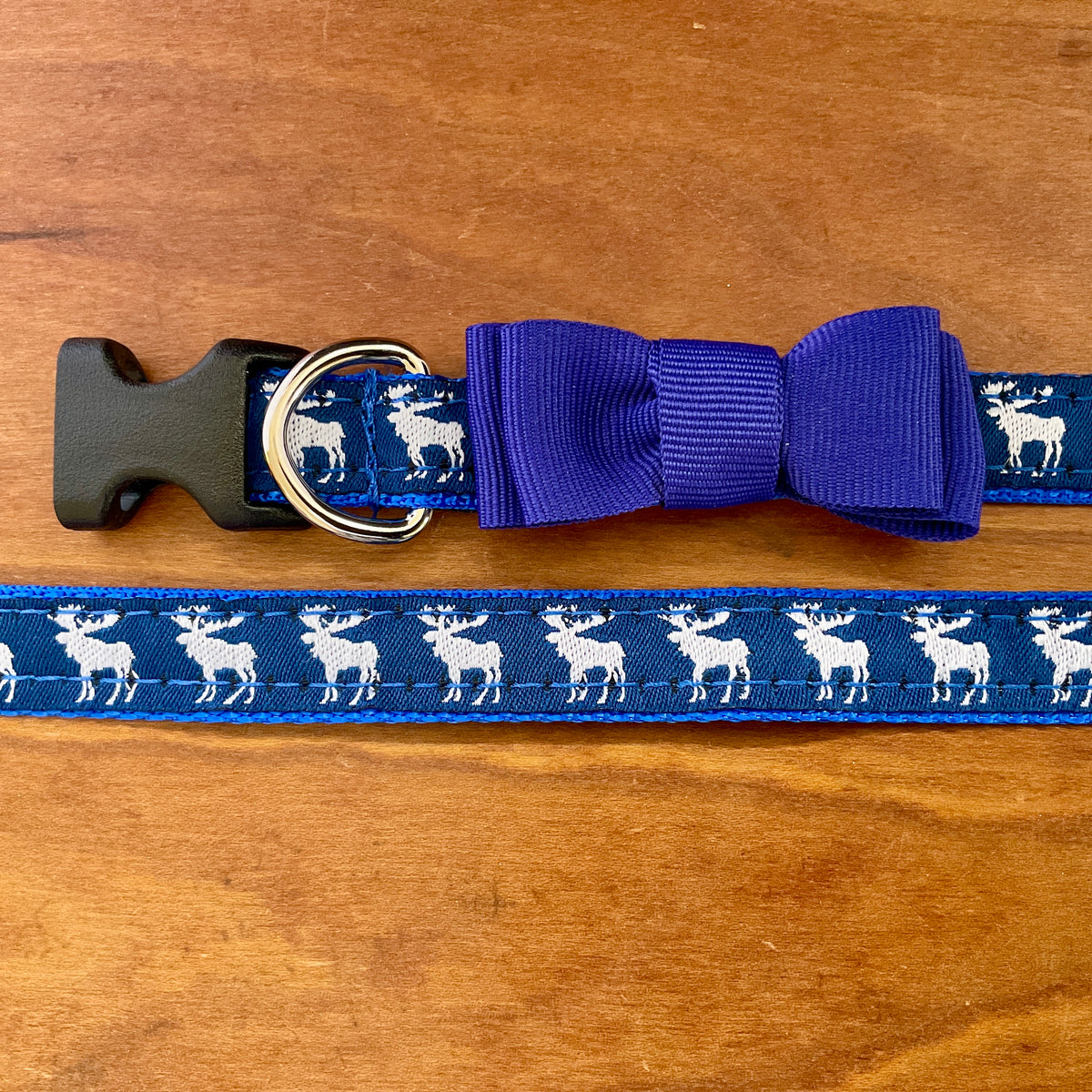 Cactus on Pink | Handmade Dog Collar – WoofWare